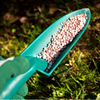 Growing Crape Myrtles: Your Guide to Healthy Plants and Vibrant Blooms ...
