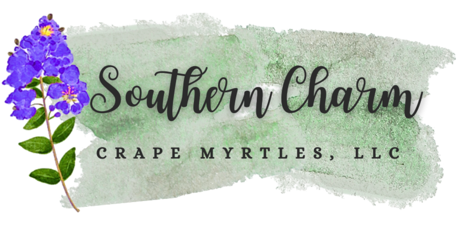 How To: Your Everything Crape Myrtle Guide from Planting to Pruning 🌱 ...
