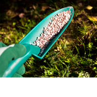 Proper Crape Myrtle Fertilization| Southern Charm Crape Myrtles, LLC
