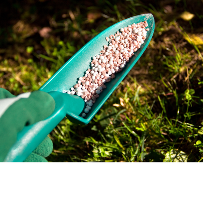 Proper Crape Myrtle Fertilization| Southern Charm Crape Myrtles, LLC