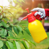 Crape Myrtle Pest and Disease Control Guide-Analysis, Tips & Solutions| Southern Charm Crape ...